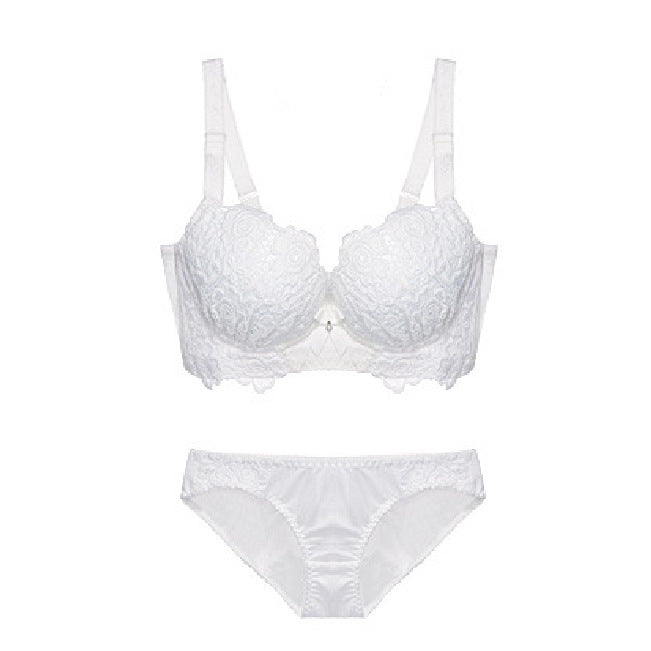 Embroidered Lace Push Up Sexy Bra Panties Set – DRESSVY